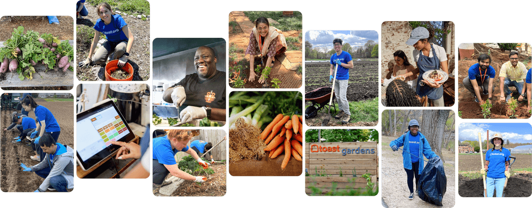 Toast.org | Enrich the Food Experience for All